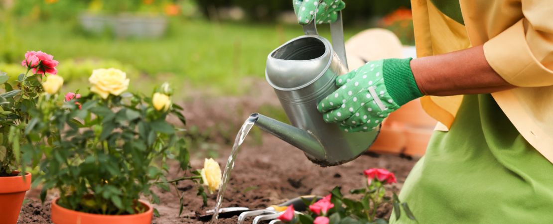 Gardening on Friday the 13th – Park Seed
