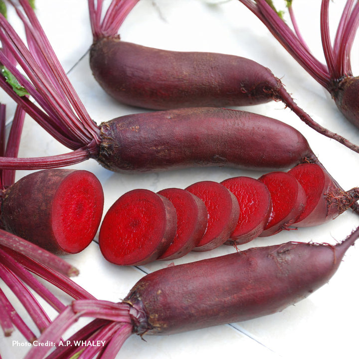 Beet Seeds | 10+ Varieties | Non-GMO – Park Seed