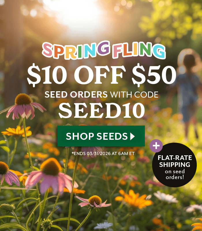 Garden Seeds & Plants - 100% Guaranteed | Growing Since 1868 – Park Seed