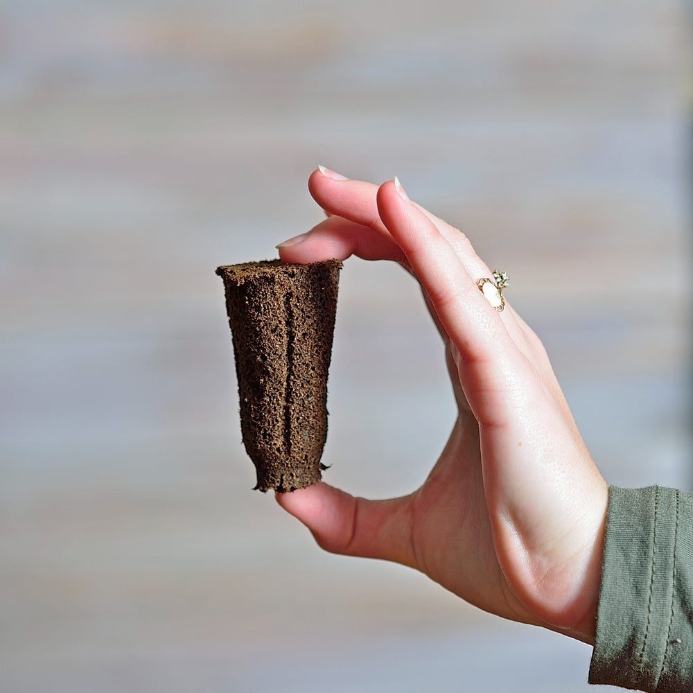 Bio Dome Refill Sponges – Park Seed