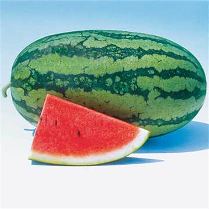 Watermelon Plant Seeds | Organic and NON-GMO – Park Seed