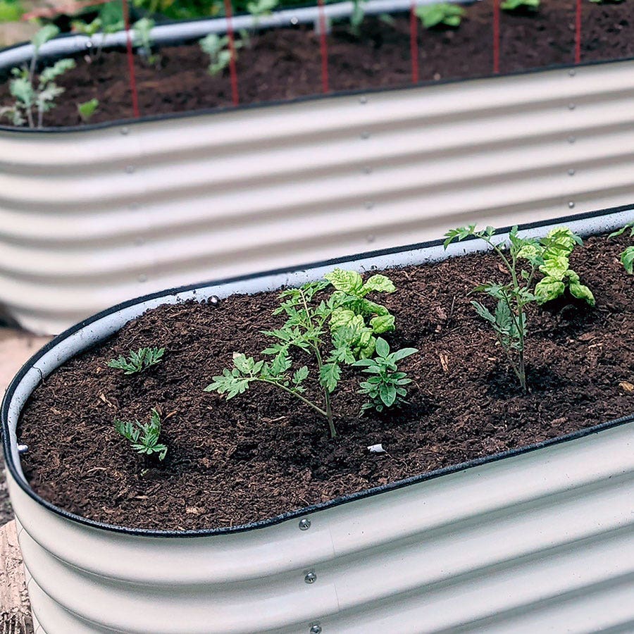 Vego Garden® 17-Inch 6 In 1 Modular Metal Raised Bed (White) – Park Seed