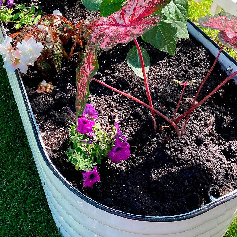 Vego Garden® 17-Inch 6 In 1 Modular Metal Raised Bed (White) – Park Seed