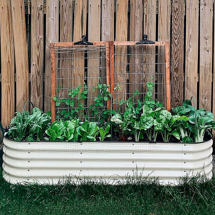 Vego Garden® 17-Inch 6 In 1 Modular Metal Raised Bed (White) – Park Seed