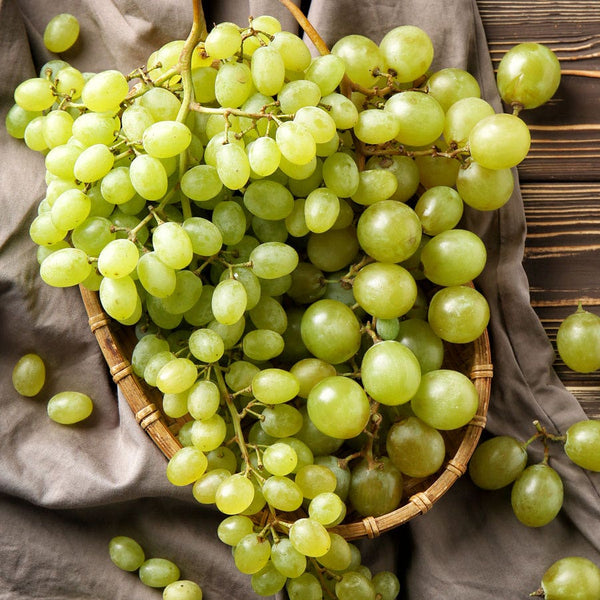 Vitis Edelweiss White Grape – Park Seed