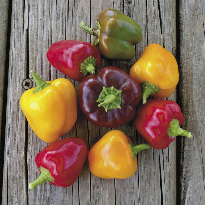 Pepper Seeds | 100% Non-GMO | Organic, Heirloom, & More | Park Seed