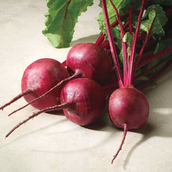 Merlin Hybrid Beet Seeds – Park Seed