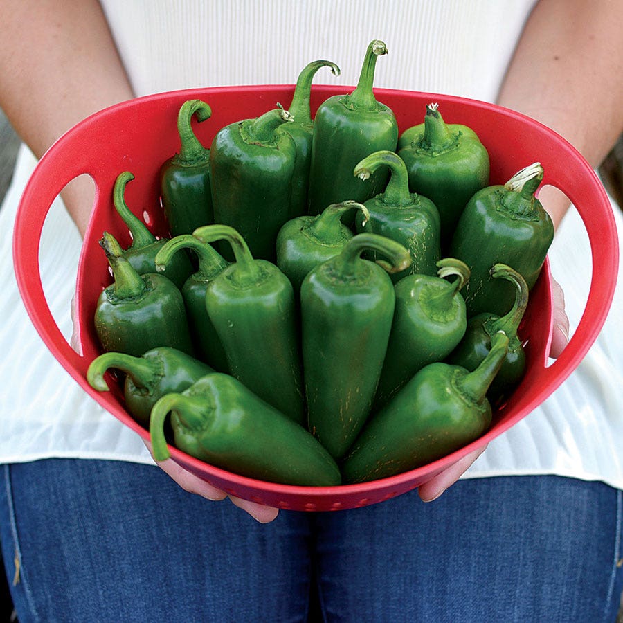 Park's Whopper Jalapeño Pepper Seeds – Park Seed