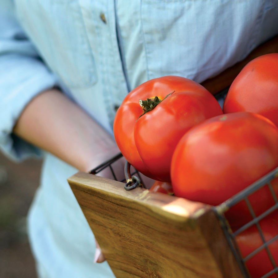 Park's Whopper CR Improved Hybrid Tomato Seeds – Park Seed