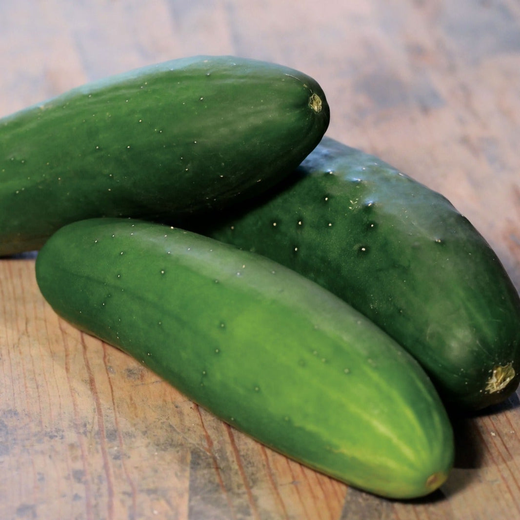 Park's Whopper Vegetables – Park Seed