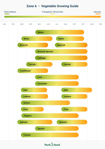 Zone 6 Calendar - Vegetable Planting Guide – Park Seed