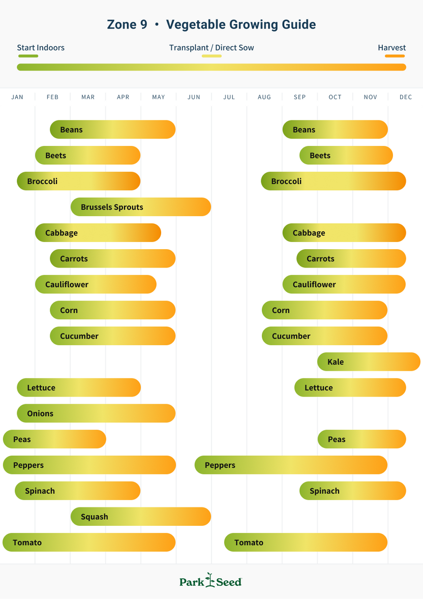 Zone 9 Calendar - Vegetable Planting Guide – Park Seed